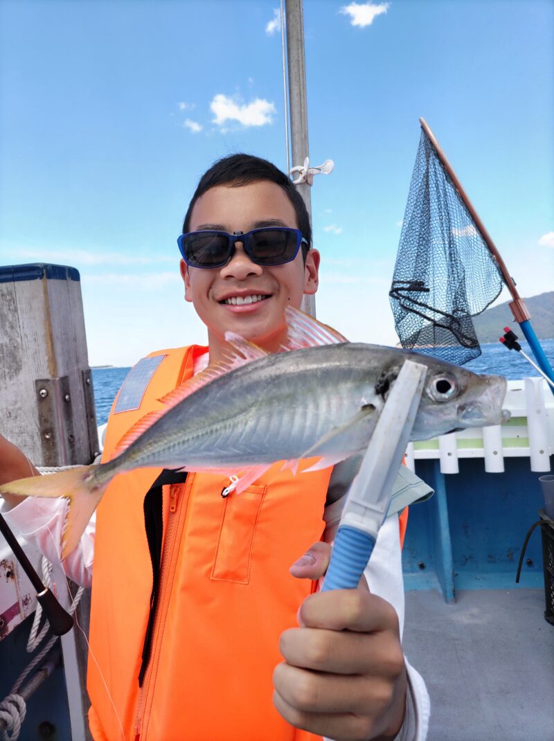 湾内アジについて - 遊漁船 Only One(ｵﾝﾘｰﾜﾝ)